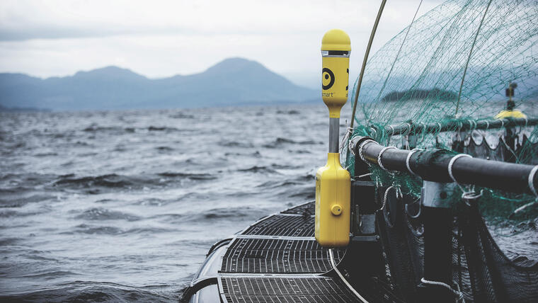 Facilities and equipment - Testination